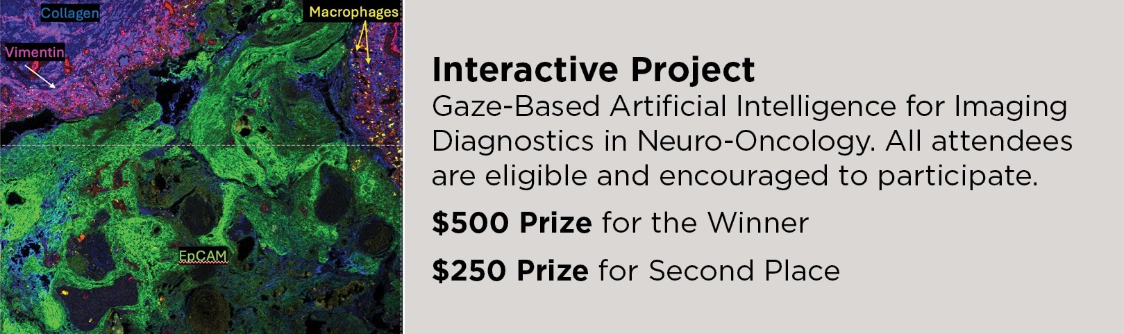 2025 Acp Meeting Morgan Adams Foundation